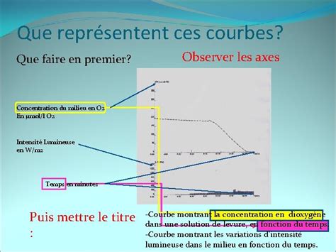 Décrire Un Graphique En Svt Evolution De La Quantite D Adn Dans Une