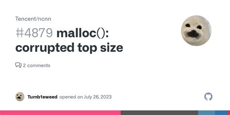 Malloc Corrupted Top Size · Issue 4879 · Tencentncnn · Github