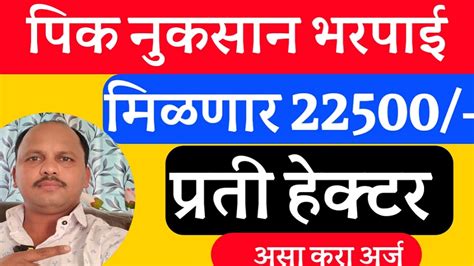Crop Insurance Claim शेतकऱ्यांना मिळणार २२५०० प्रमाणे नुकसान भरपाईअसा