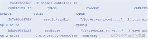 Docker
