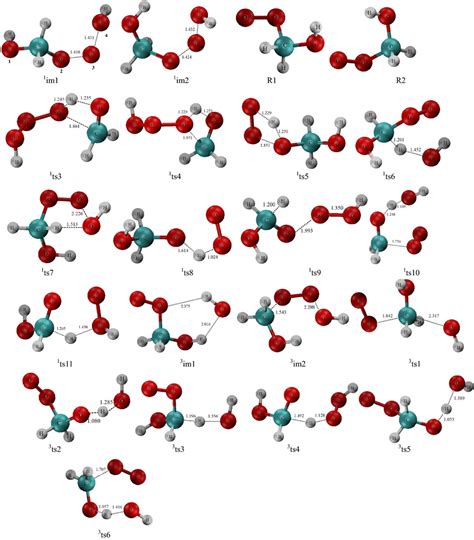 Optimized Structures Of Reactants Transition States And Intermediates