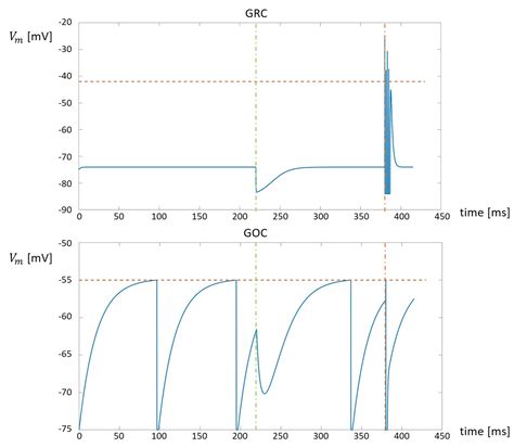 Towards The Simulation Of A Realistic Large Scale Spiking Network On A Desktop Multi Gpu System