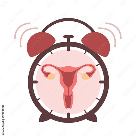 Female Reproductive System Women Uterus In The Ringing Alarm Clock