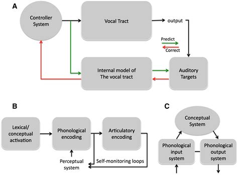 sensorimotor integration in speech processing computational basis and