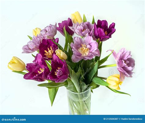 薰衣草tulip花束在白色背景的 特写 库存图片 图片 包括有 花卉 关闭 背包 植物群 空白 213504387