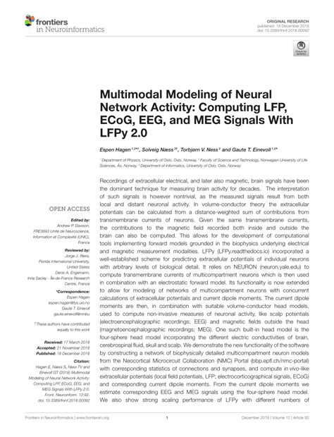 Pdf Multimodal Modeling Of Neural Network Activity Computing Lfp