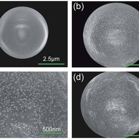 SEM Images Of A A Pure PS MS B And C The Au NPs PS MS Hybrid Download Scientific Diagram