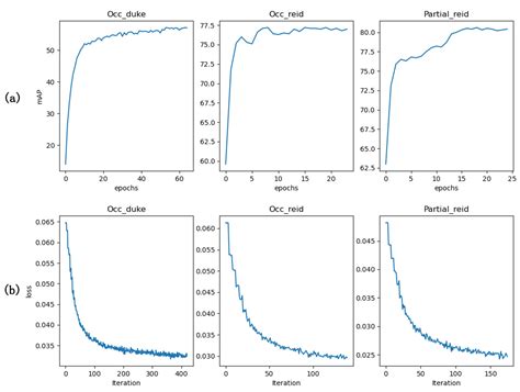 A Multi Scale Graph Attention Based Transformer For Occluded Person Re Identification