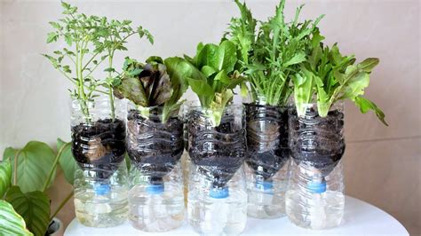 페트병 자동급수로 미니 텃밭 만들기 Glass vase Glass Voss bottle