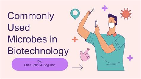 Commonly Used Microbes In Biotechnologypptx