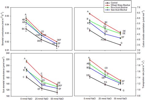 Interactive Effects Of Biochar Treatments Control Wheat Straw