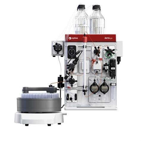 Efficient Protein Antigen Expression Creative Diagnostics