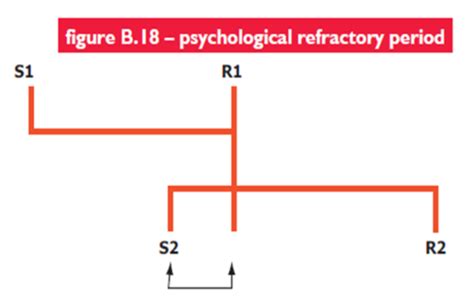 Motor Skill Motor Learning Exam Part 1 Motor Learning Ch Ch 15