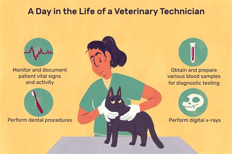 Veterinary Technician Work Environment