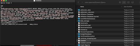[solved]opera Is Not Saving Data Or Its Being Removed Opera Forums