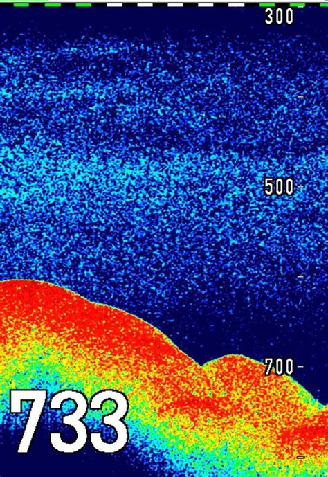 New Echo Sounder From Koden Moltech