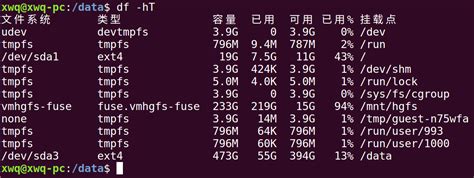 Ubuntu 扩展内存挂载