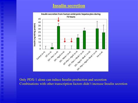 Ppt Liver To Pancreas Transdifferentiation By Pancreatic