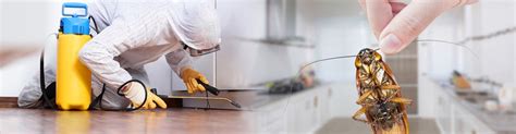 Industrial Pest Control Om Pest Control And Co