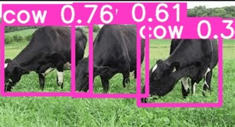 基于yolov5和树莓派4b平台zhangshiwei的技术博客51cto博客