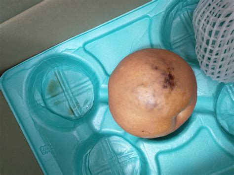 先行予約 和梨 愛宕 自家用 約5kg [12月上旬から発送予定] 令和7年度 新潟県三条市産 梨 訳アリ [三条果樹専門家集団