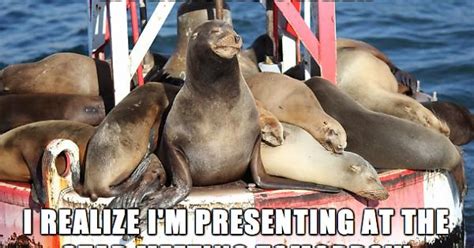 Sea Lion Reaction Meme On Imgur