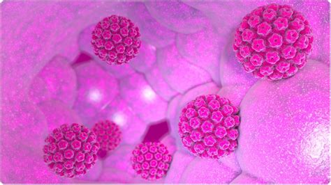 Hpv Misconceptions Are Causing Women To Miss Smear Tests