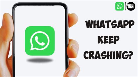 How To Fix WhatsApp Keep Crashing On IPhone IOS 16 WhatsApp Crashing Issue YouTube
