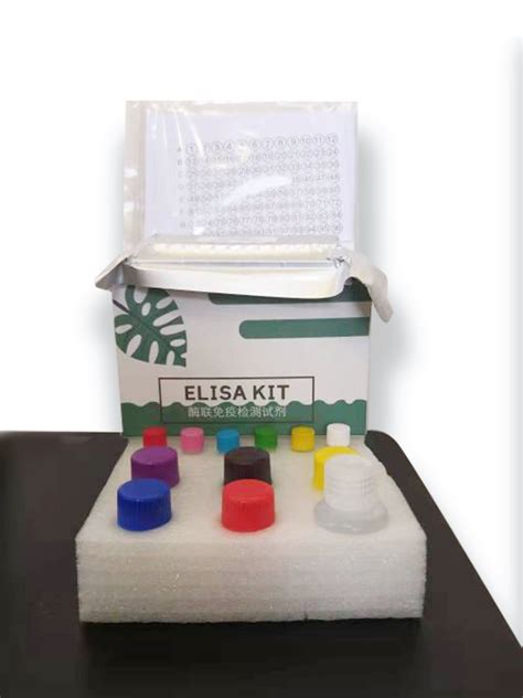 Xq En B Ltb Elisa