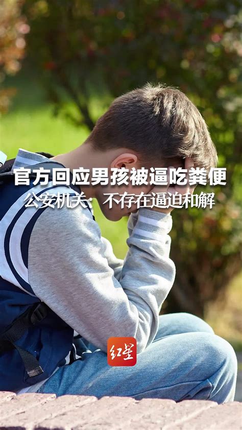官方回应男孩被逼吃粪便：肇事者均为普通农民家庭孩子 公安机关：不存在逼迫和解凤凰网视频凤凰网