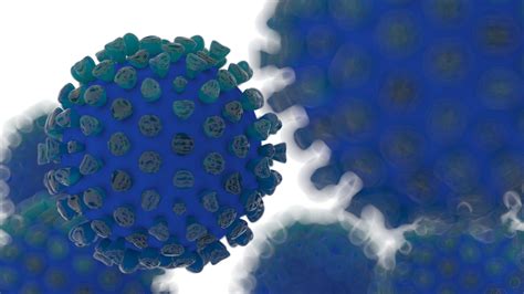 Nipah Virus Glycoprotein F The Native Antigen Company