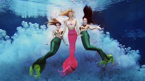 Weeki Wachee Mermaid Encounter