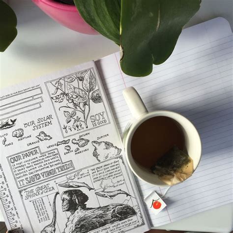 47 mejores imágenes de Apuntes minimalistas en Pinterest Apuntes Garabatos y Periodismo