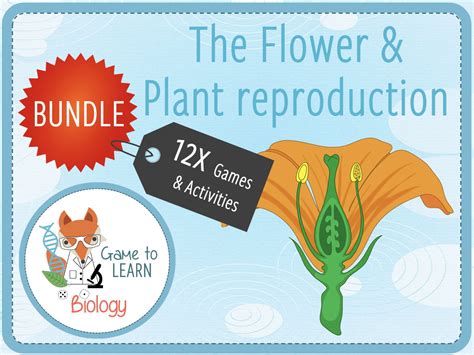 The Flower And Plant Reproduction 12x Games And Activities Ks23