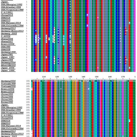 Multiple Sequence Alignment For A Part Of The Retrieved Strains For The