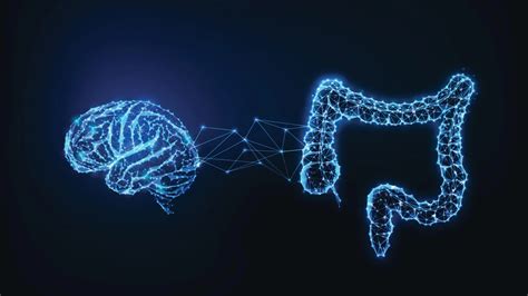 Primate Microbiomes And The Brain Gut Brain Axis And Neurodevelopment