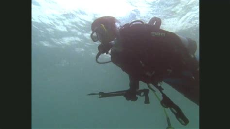 Scuba And Wetsuit Scenes From Der Mädchenjäger Sos Barracuda Movie