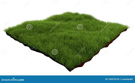 Square Of Green Grass Field On White Background Grass Podium Lawn