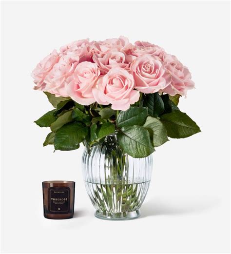 Flowerbx Pink Sweet Avalanche Rose