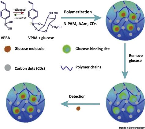 Limitations And Challenges In The Practical Implementation Of Mips