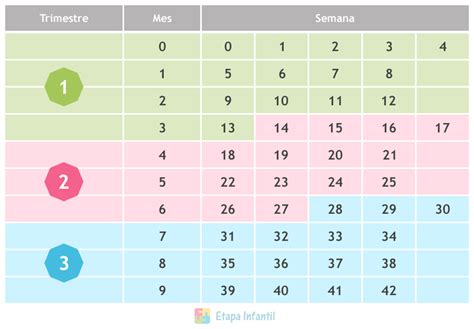 Pasos Para Calcular Las Semanas De Embarazo Calculadoras De Embarazo