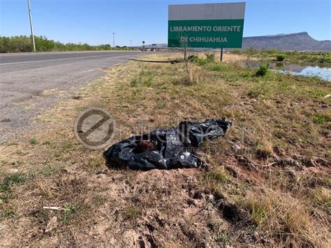 Localizan A Mujer Sin Vida Embolsada Y Maniatada En Camino Rancho En