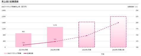 【銘柄分析】ラバブルマーケティング（9254） 2023年3月期第2四半期決算発表後 ほっこり10倍株研究所（仮名）