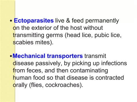 Arthropods Ppt