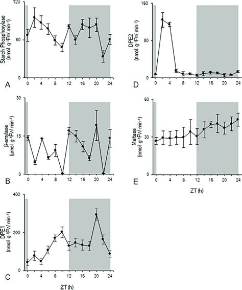 Diel Enzyme Activity Of Starch Phosphorylase Nmol G 1 Fw Min 1