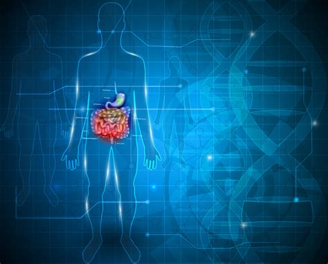 Physiology And Disease States Of The Gi System Ceu