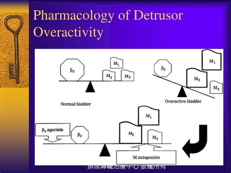 Ppt Recent Advances In Management Of The Neurogenic Voiding Dysfunction Powerpoint