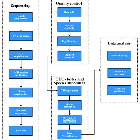Workflow For Sequencing And Data Analysis Download Scientific Diagram