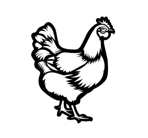 Chicken Svg Svg Cut File Car Decal Svg Instant Download