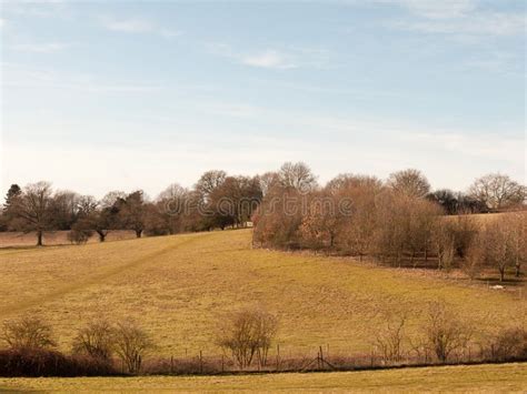 Empty Wet Grass Field Low Light Sunset Landscape Dedham Plain Em Stock